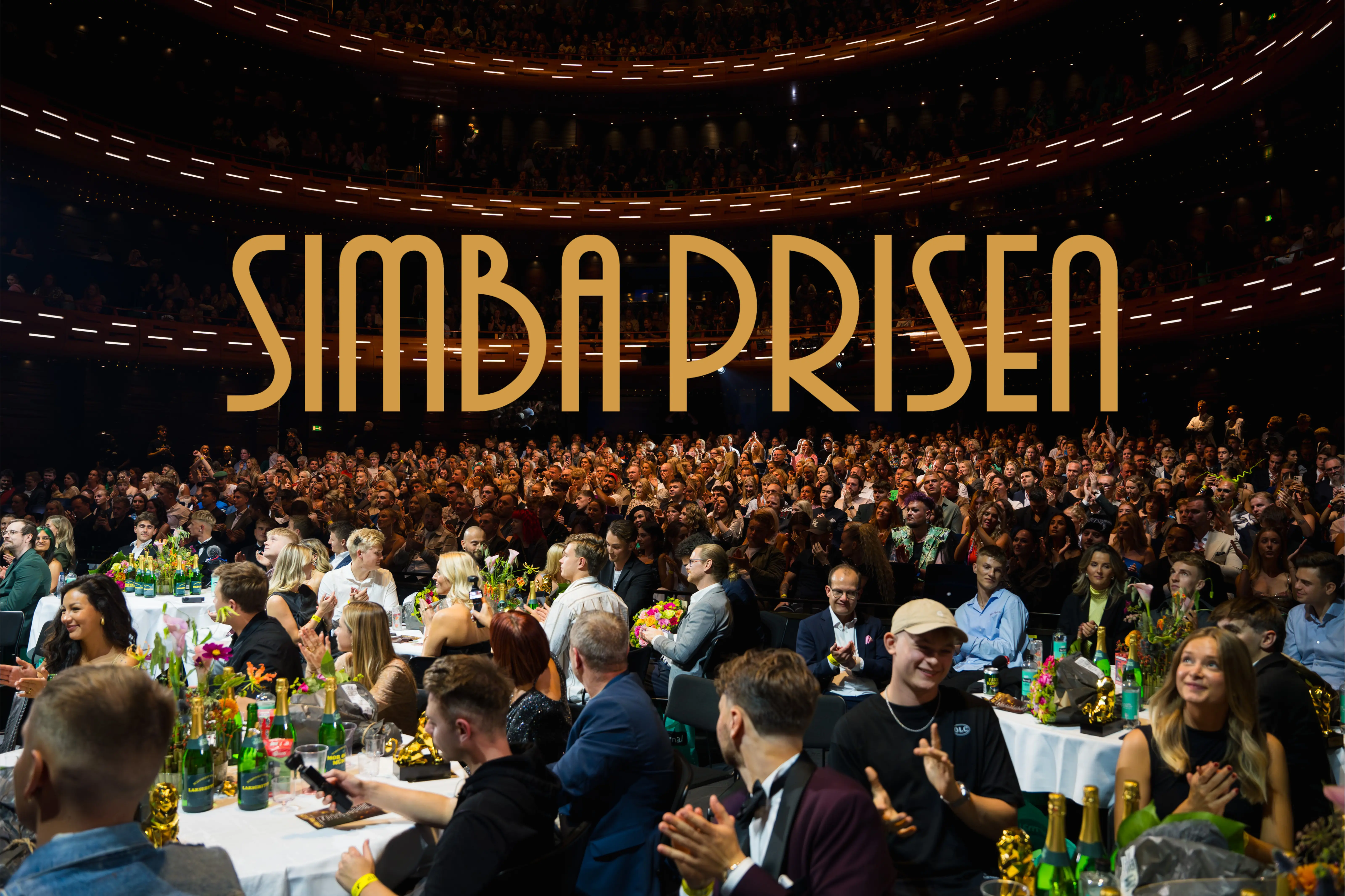 Praktisk Information | Simba Prisen